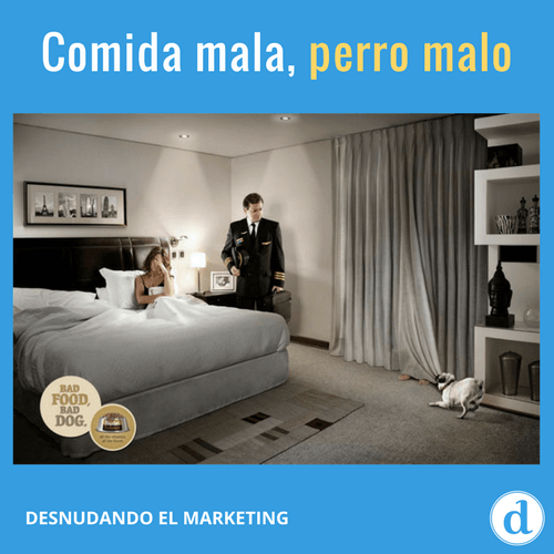 Las mejores Publicidades sobre perritos para alegrarte el día