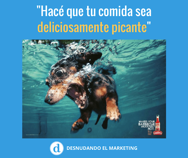 Las mejores Publicidades sobre perritos para alegrarte el día