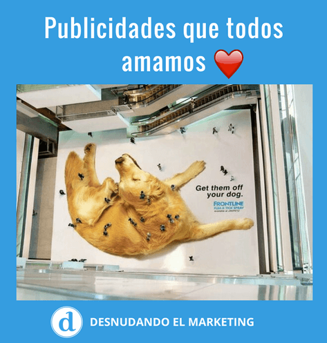 Las mejores Publicidades sobre perritos para alegrarte el día